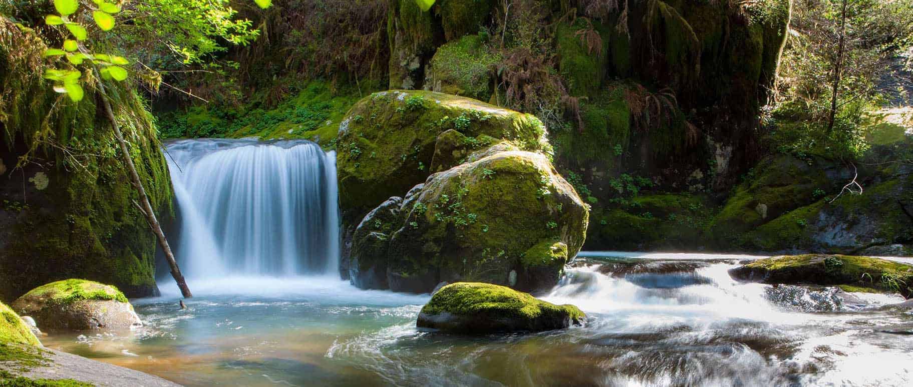 Blog – Deep Spring Center